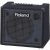 Roland KC200 Keyboard Amplifier (KC200) - Australian Piano Warehouse